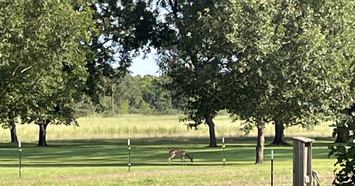 Southernfried - Music Producer, Song Writers - Sweet Water Alabama | SoundBetter