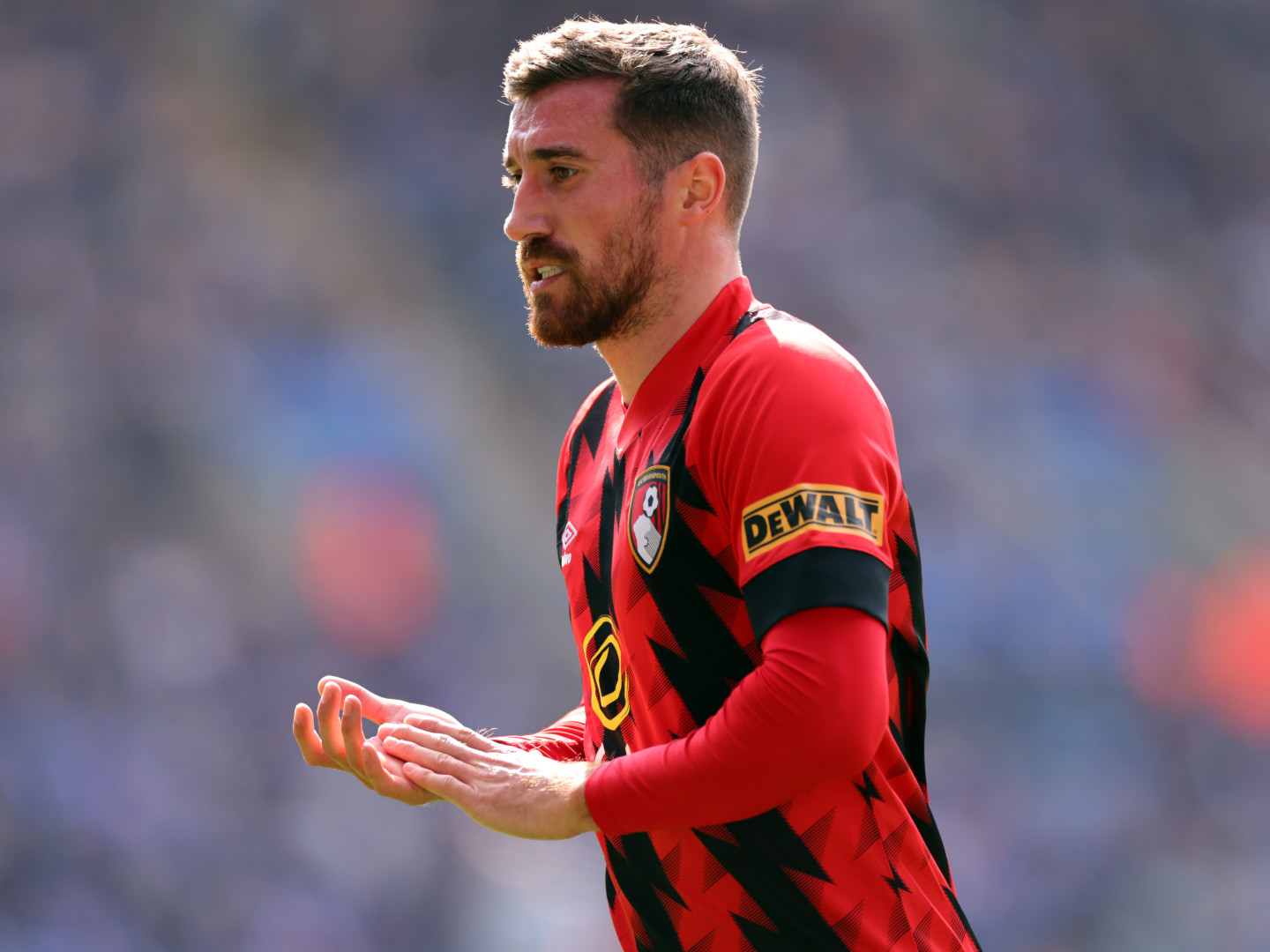 Gallery: Red and white Rothwell | Gallery | Southampton FC Official Site