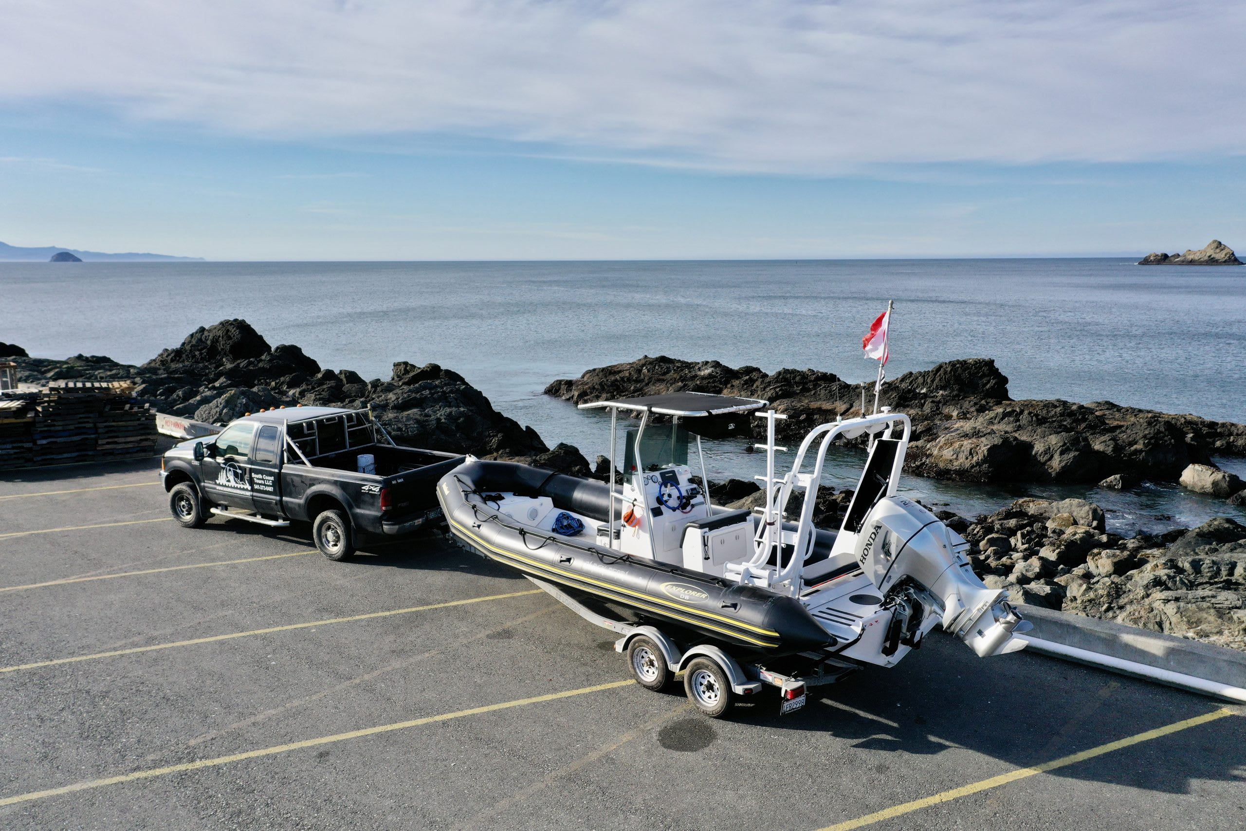 Whales Wildlife Boat Tour South Coast Tours whales-wildlife-boat-tour-south-coast-tours
