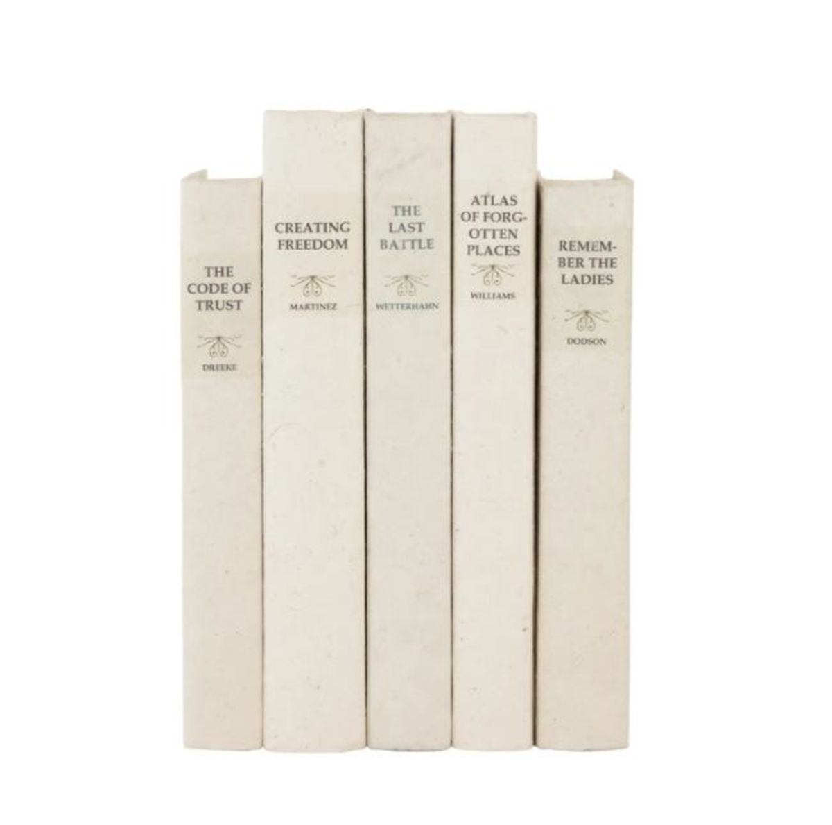 Parchment Books Set of 5 | Spacejoy