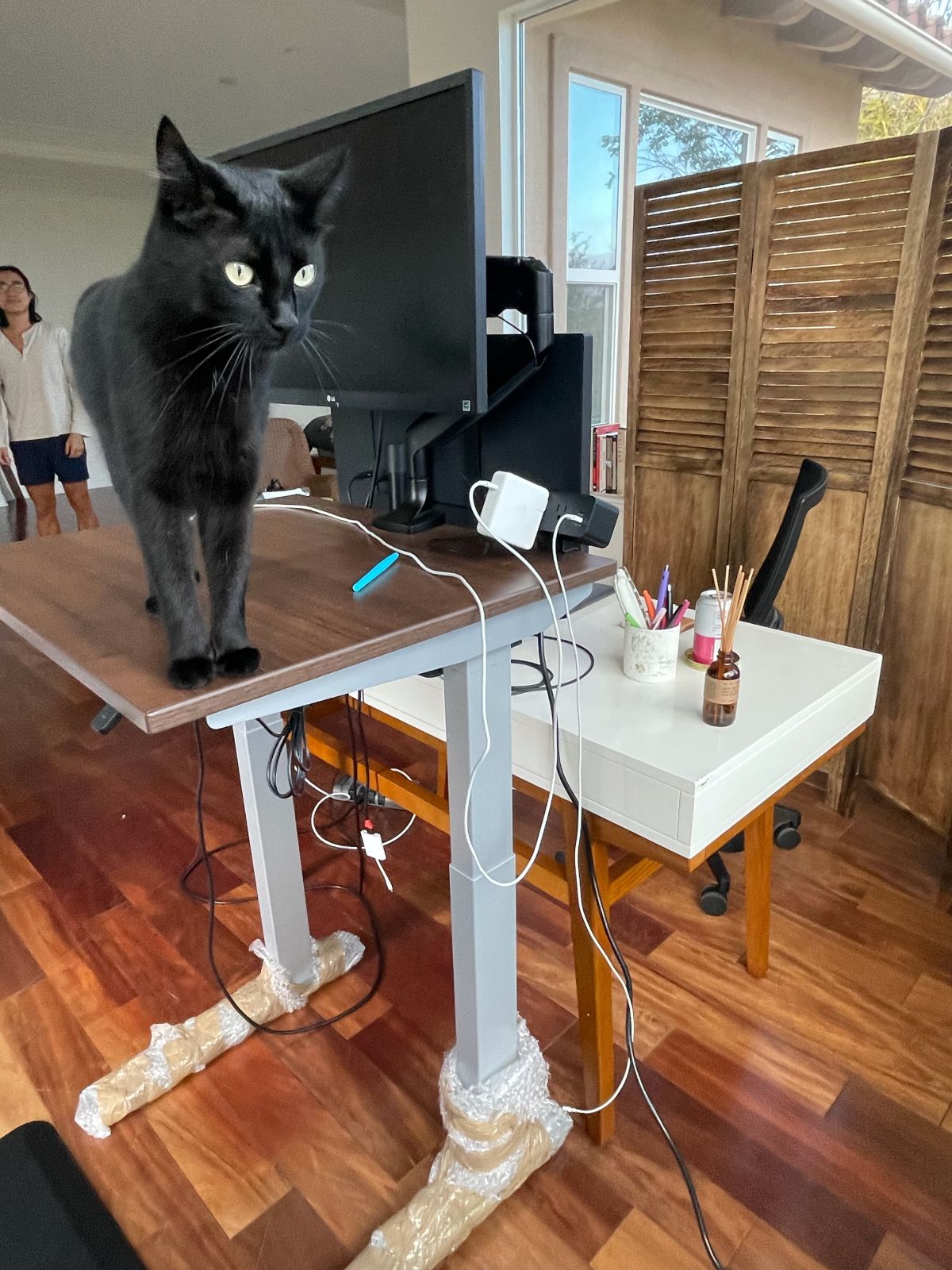 Customer Standing desk | Spacejoy