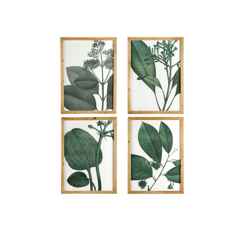 Botanical Graphic Art Print Set 4 of 4