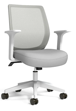 Customer Office Chair