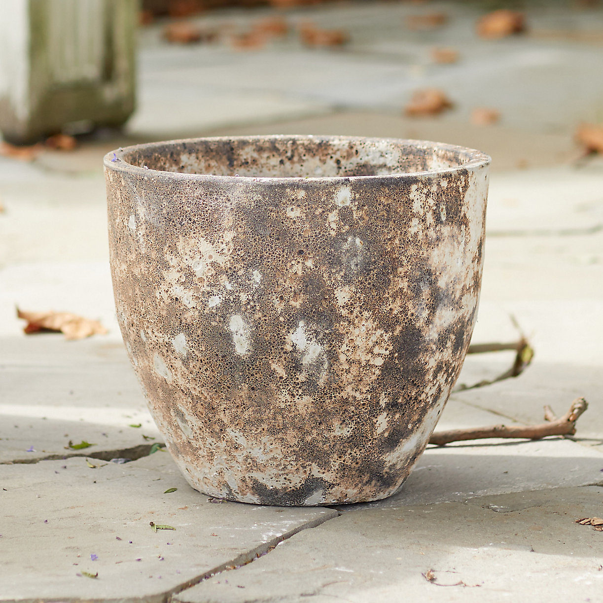Barnacle Rounded Egg Planter