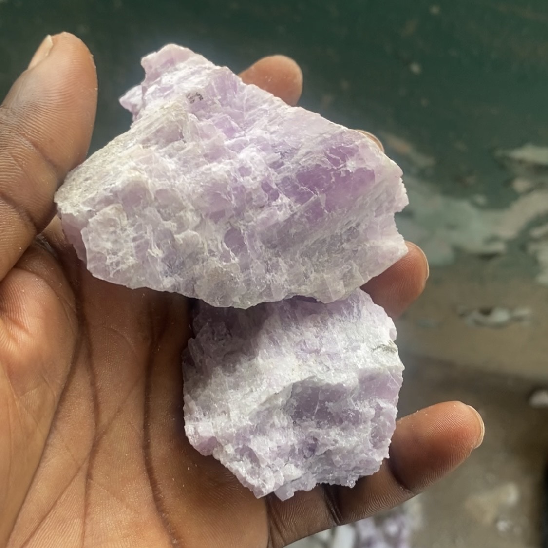 Home - Asvini Global Limited