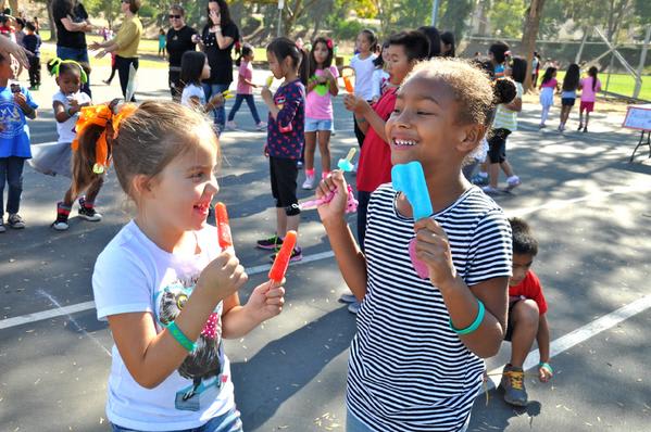 Thirteenth annual national Mix It Up at Lunch Day a success