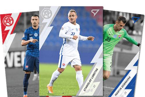 SportZoo - Slovenskí Sokoli 2021