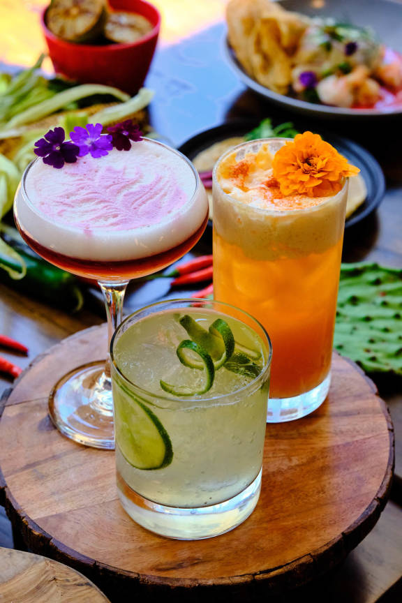 Modern Latin Restaurant | AltaToro | Midtown Atlanta