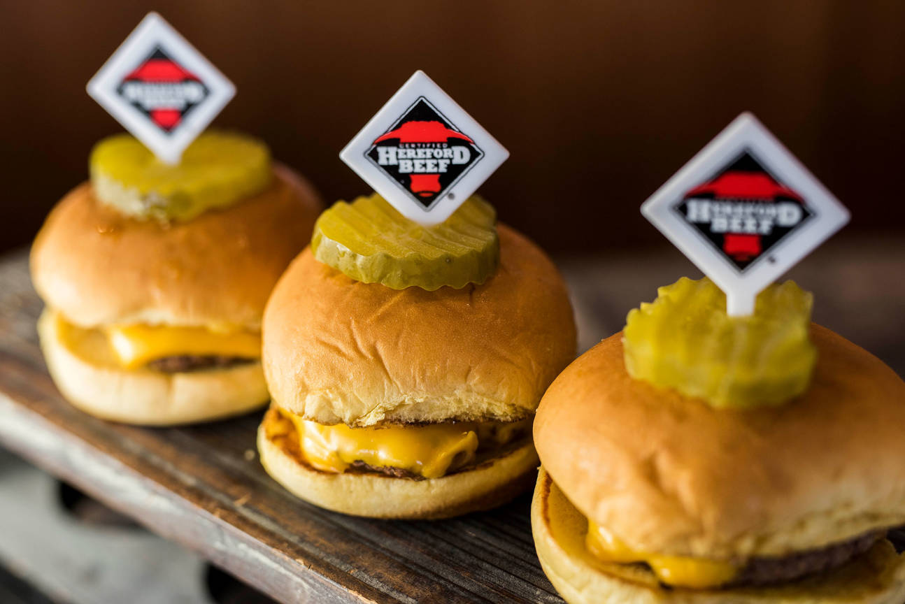 Mr Brews Taphouse - Mesa - Mesa, AZ