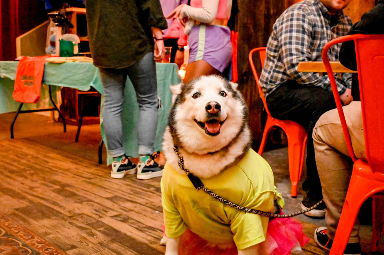 Barewolf Brewing - Amesbury, MA