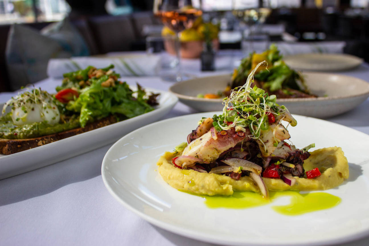 Greca Mediterranean Kitchen + Bar - White Plains, NY