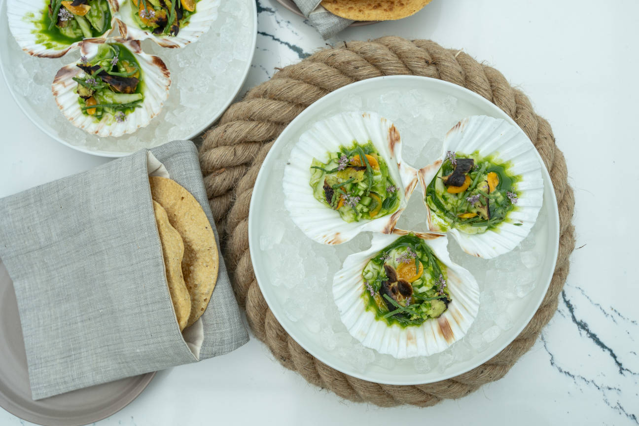 Coco Maya - San Diego, CA