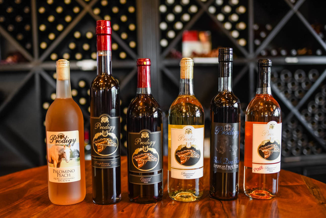 Prodigy Vineyards & Winery - Frankfort, KY