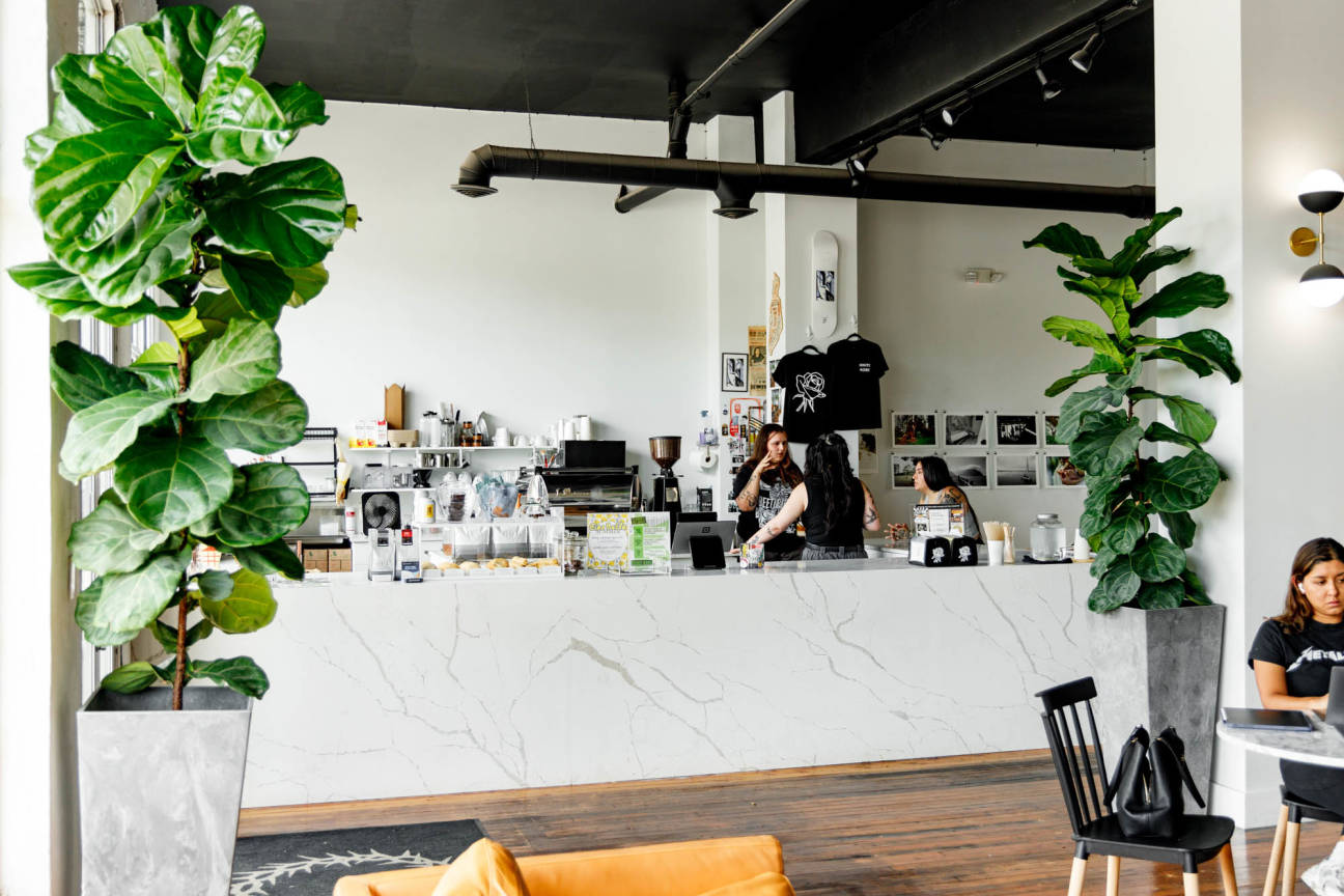 White Rose Coffee - Coral Gables, Miami, FL