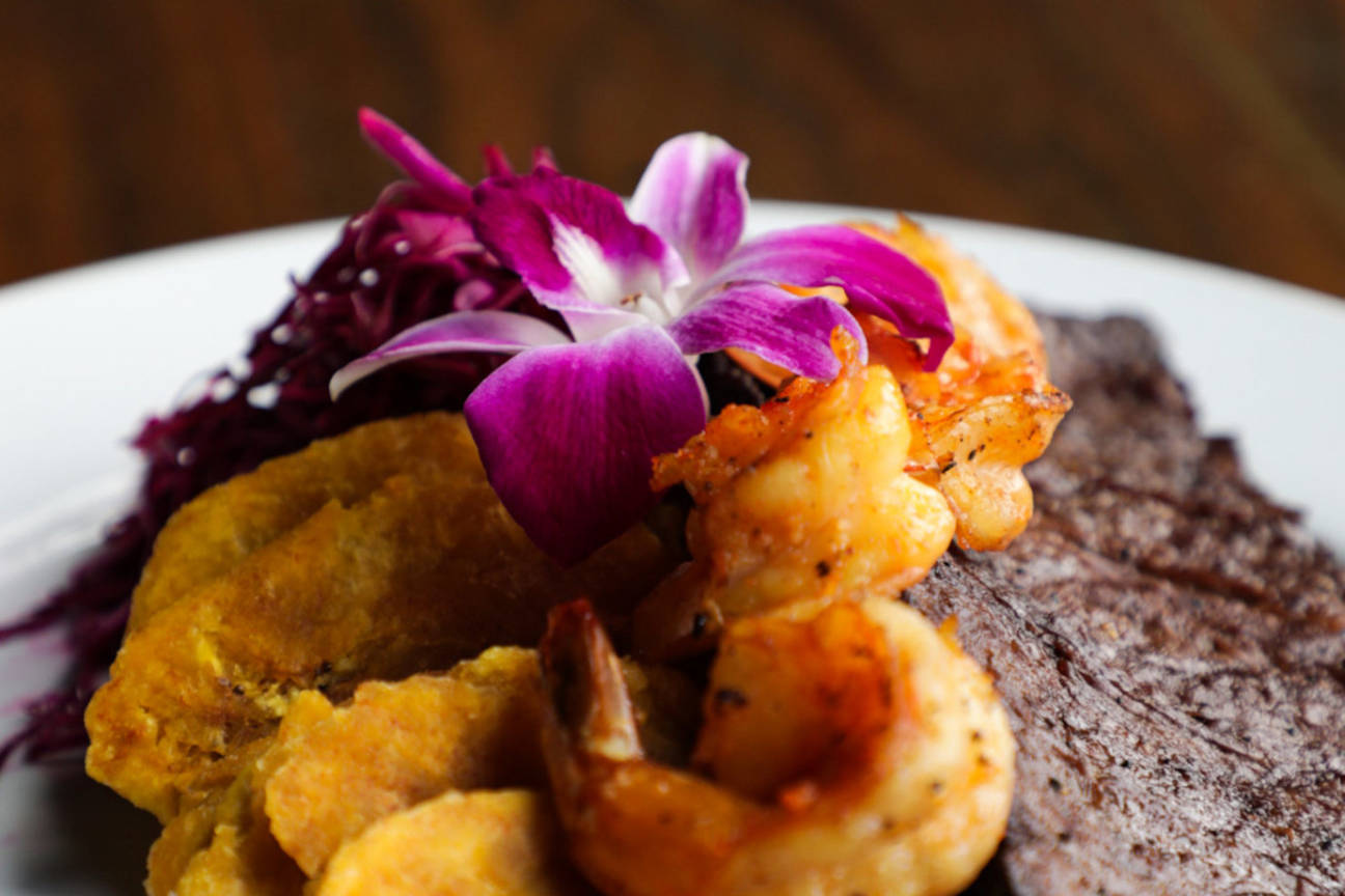 Viva Toro - Williamsburg, Brooklyn, NY