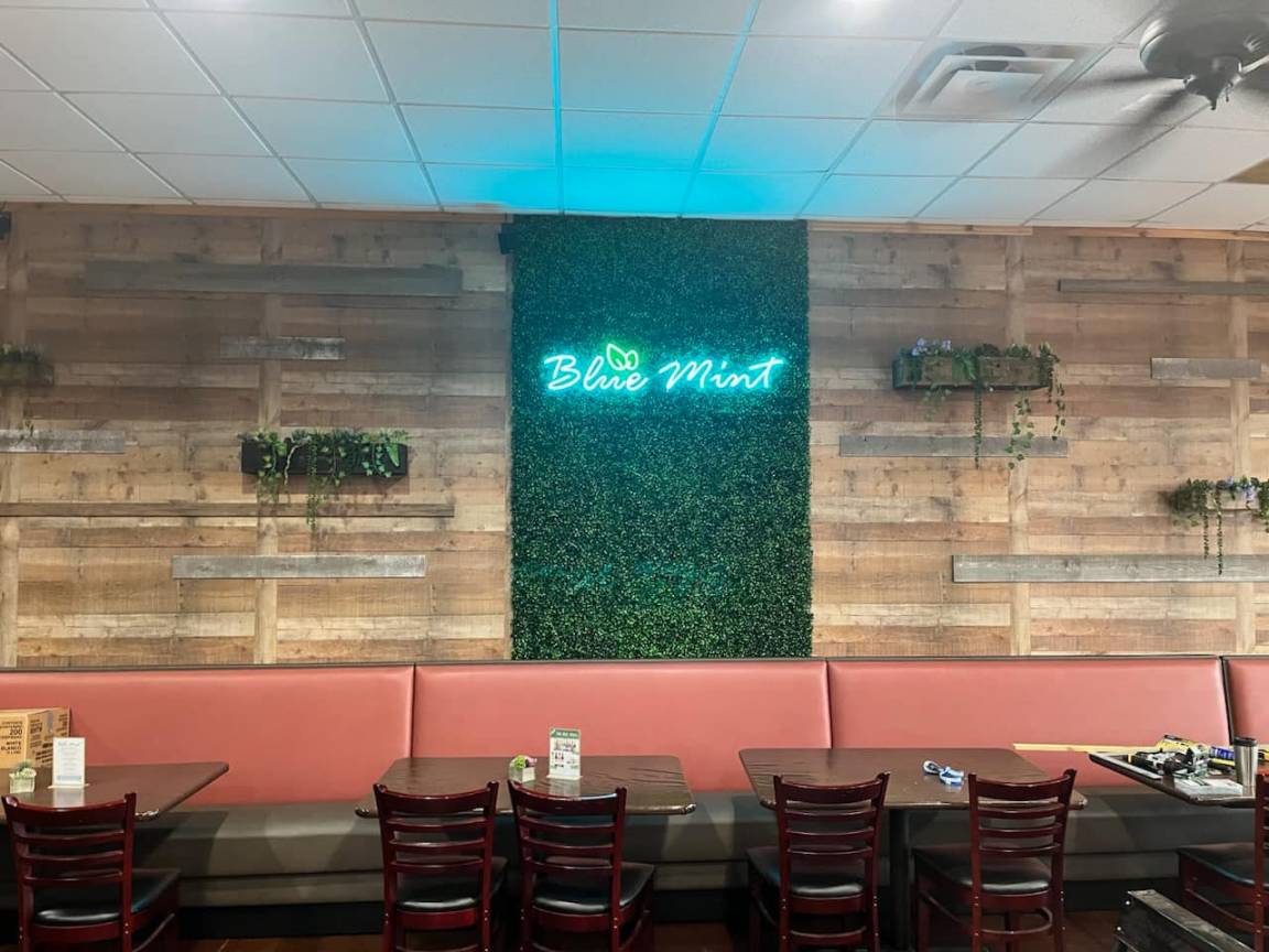Blue Mint Thai and Asian Cuisine - Mansfield, Mansfield, TX