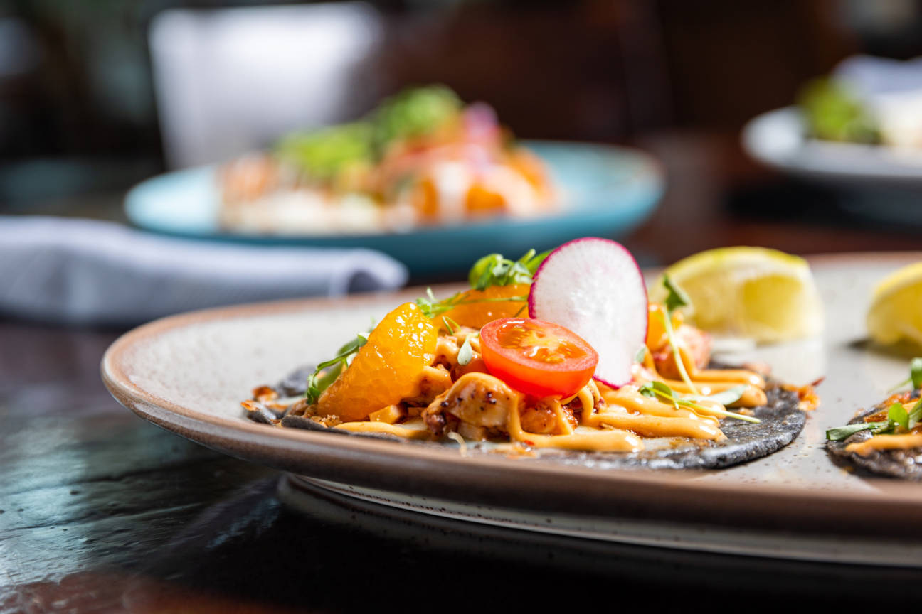 Monarca - Salt Lake City, UT