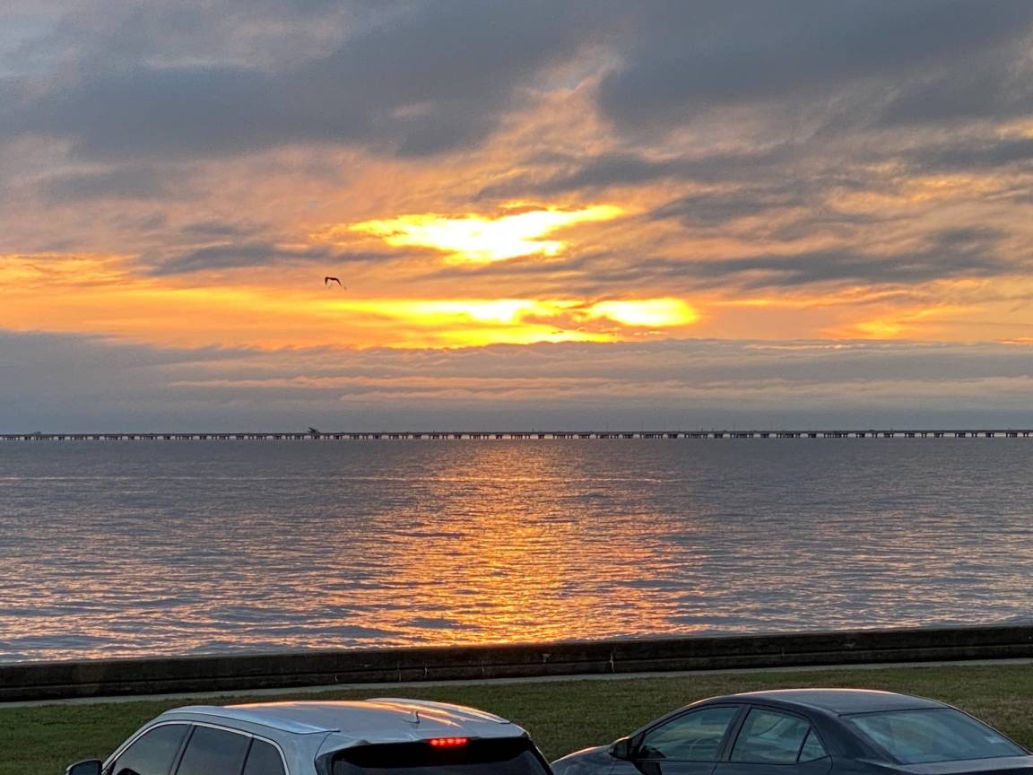 Rips on the Lake - Mandeville, LA