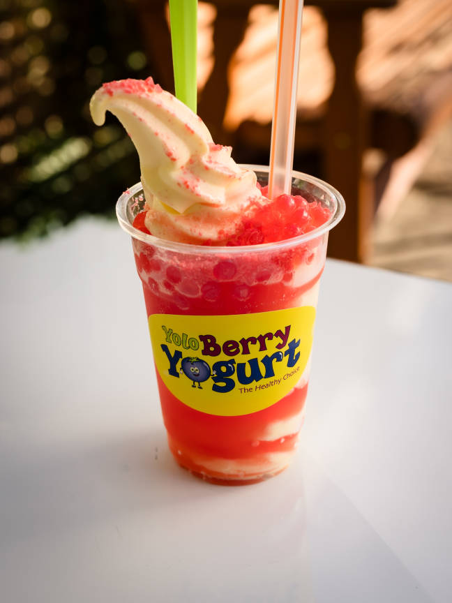 Yolo Berry Yogurt - Davis, CA