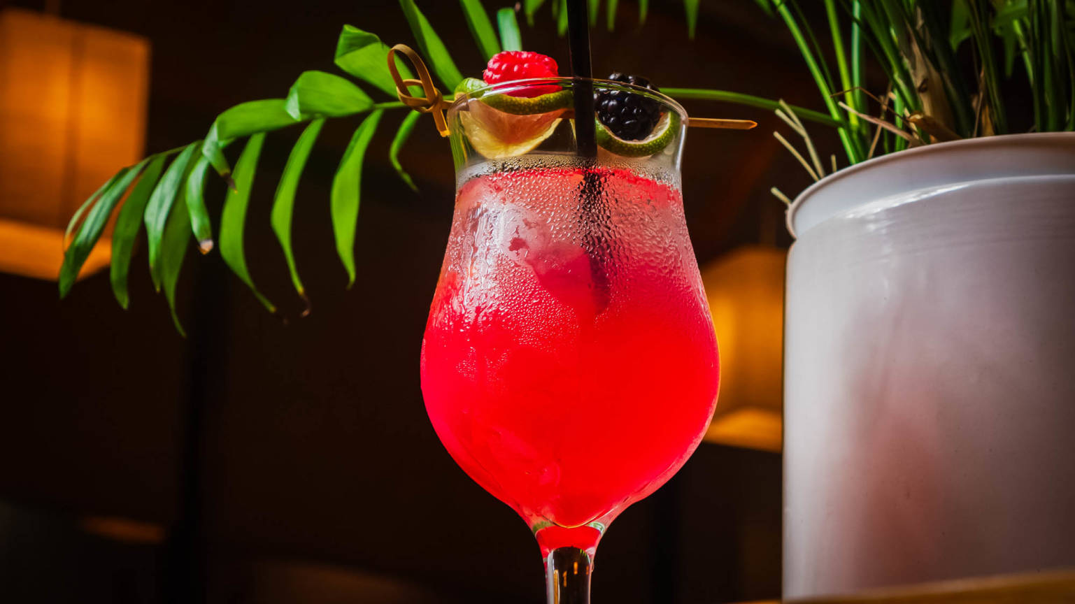 Bikkuri Sushi Noodle & Grill - Colonial town north, Orlando, FL