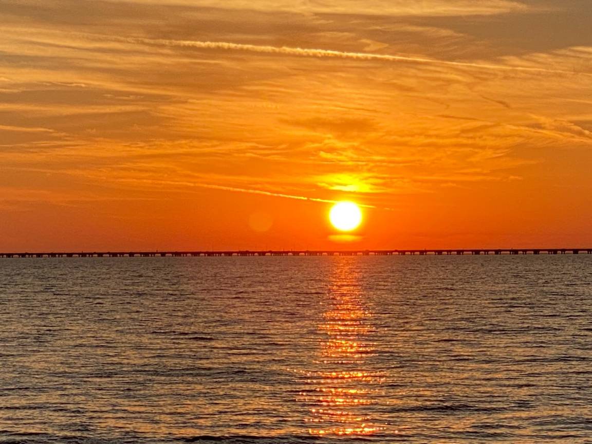 Rips on the Lake - Mandeville, LA