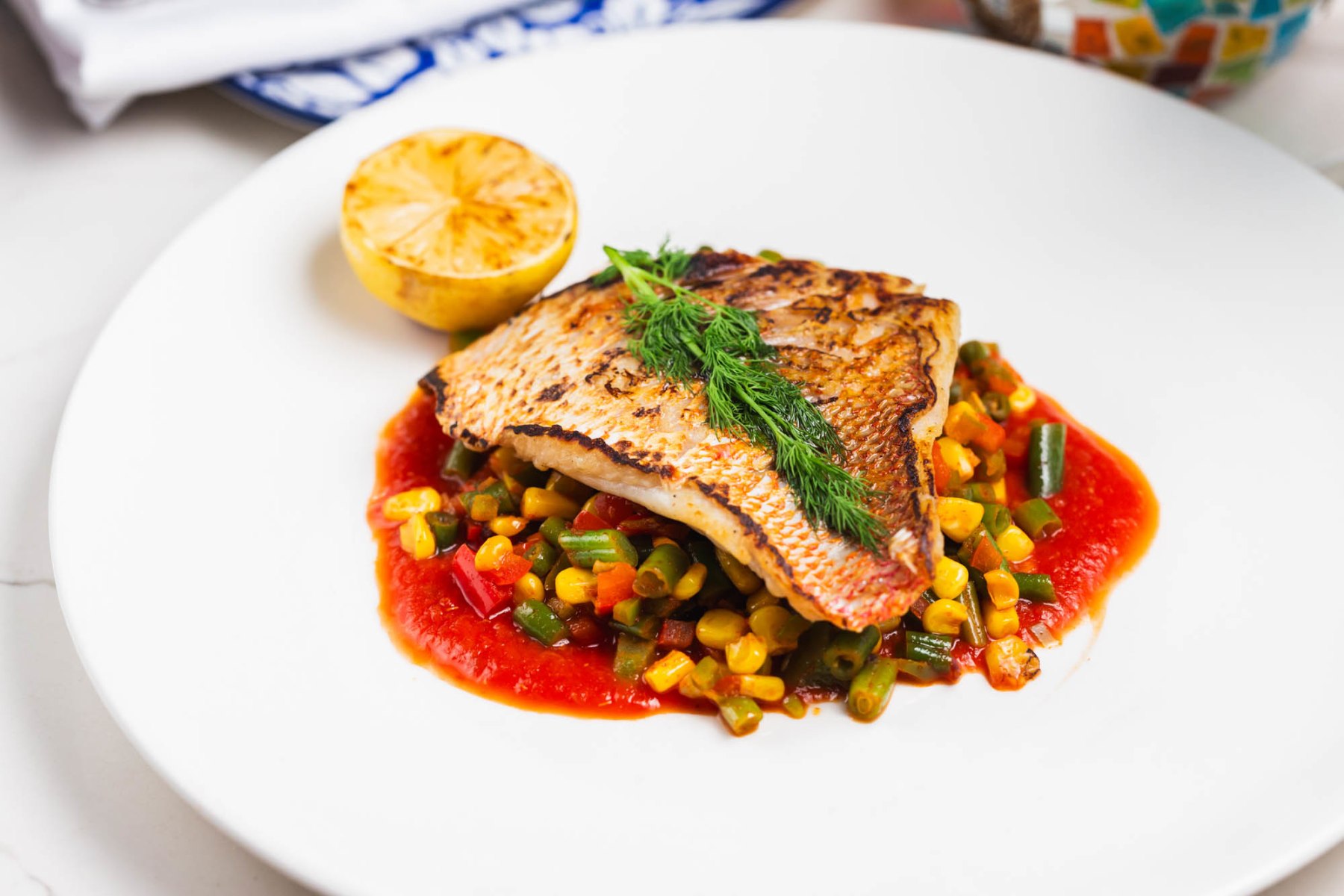 Must-Visit Seafood Restaurant in NYC | The Shell