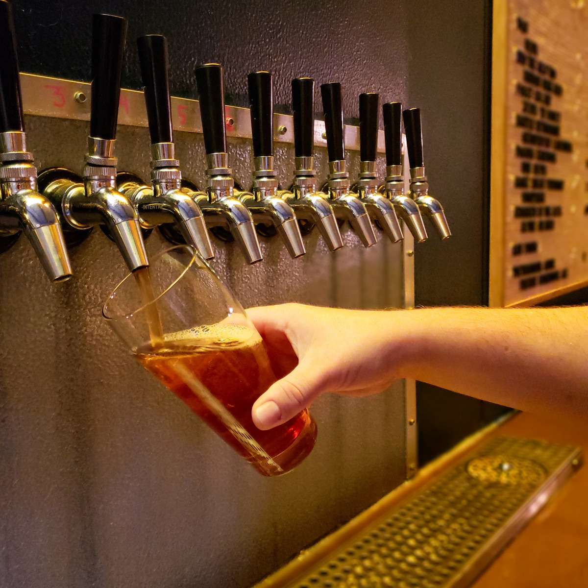 Barewolf Brewing - Amesbury, MA