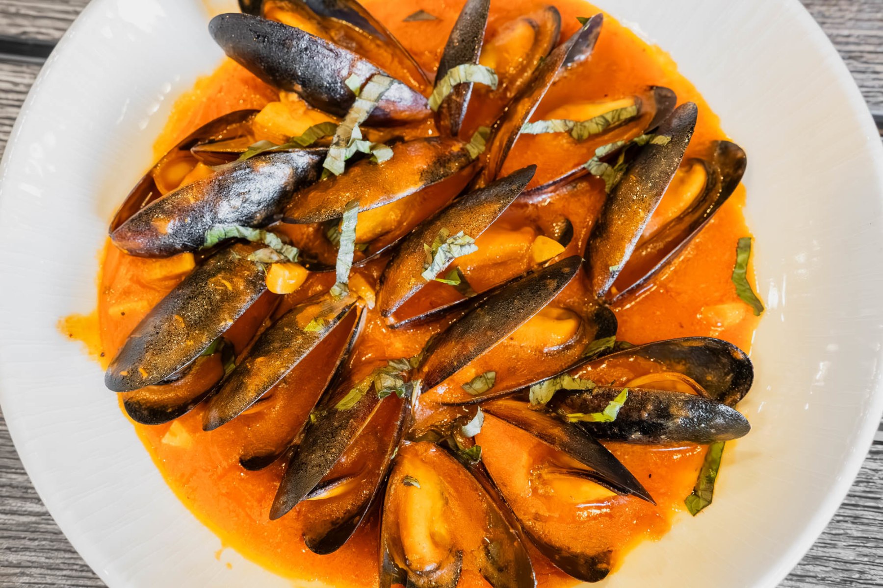 Must-Visit Italian Restaurant in Jim Thorpe | Dom N Ali