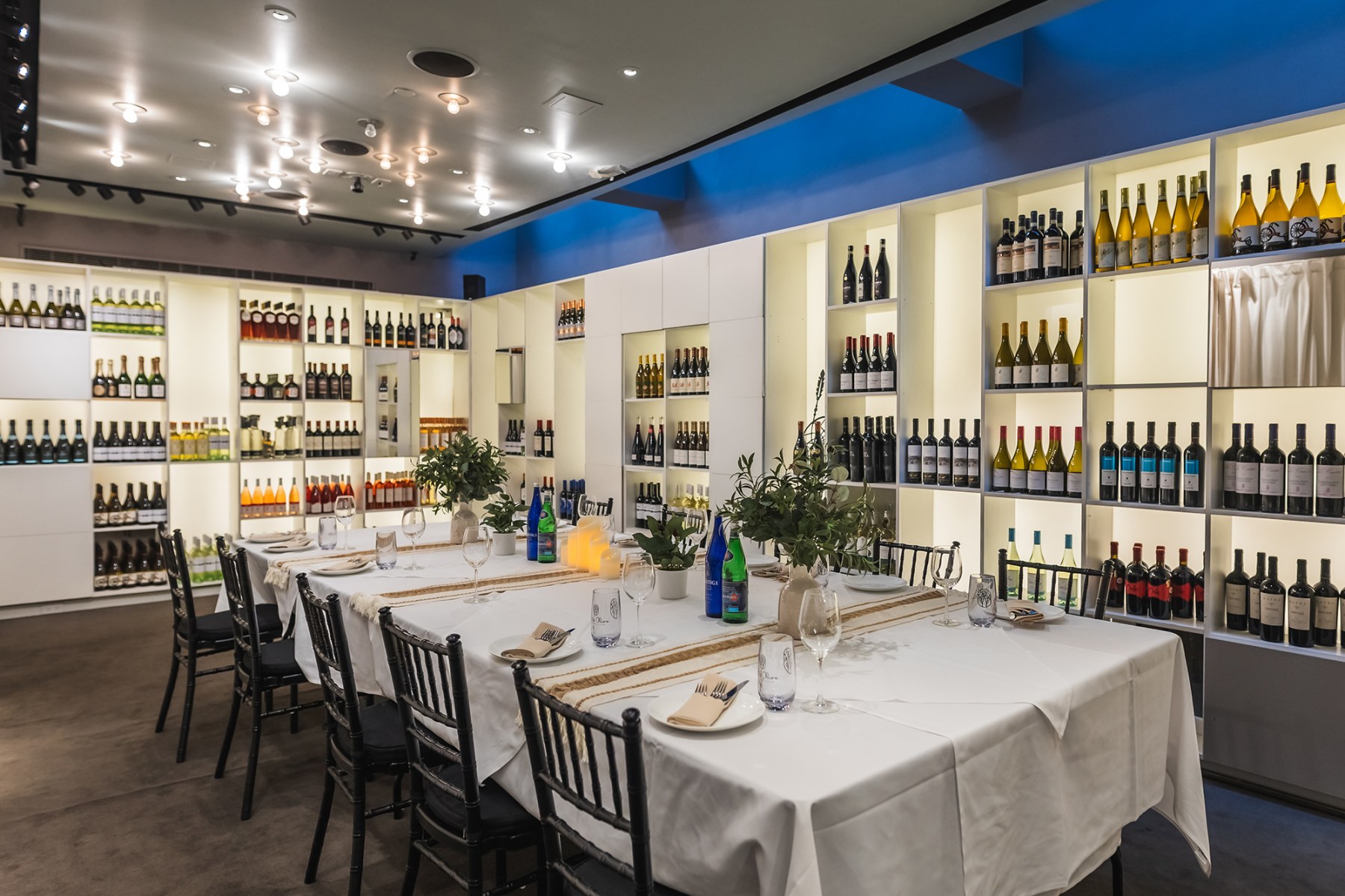 White Olive - New York, NY