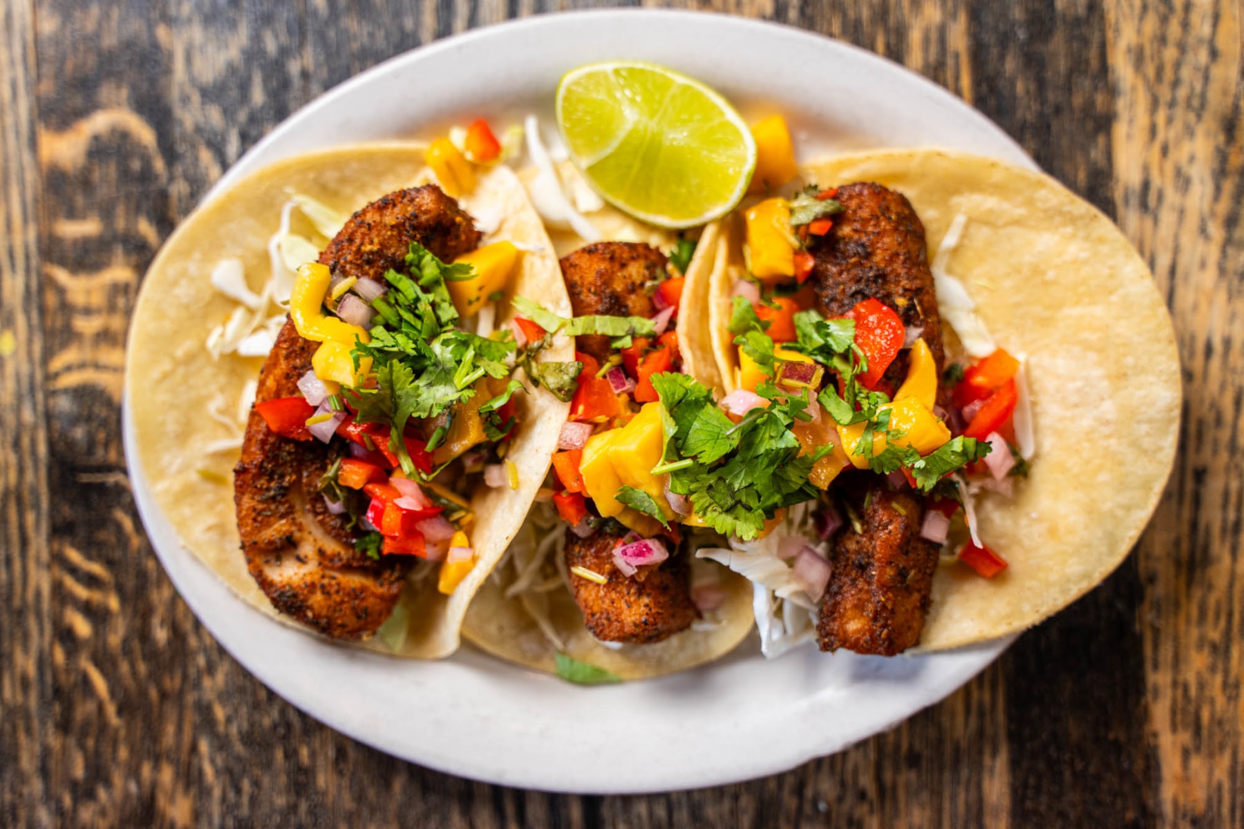 Xolo Tacos - Bryn Mawr, PA