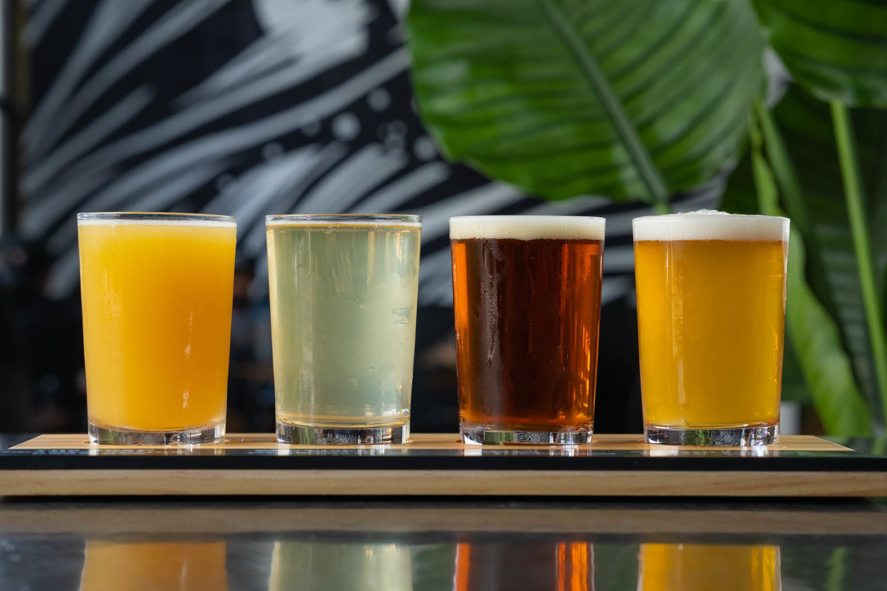 Must-Try Cafe in Scottsdale, AZ | Sip Coffee & Beer