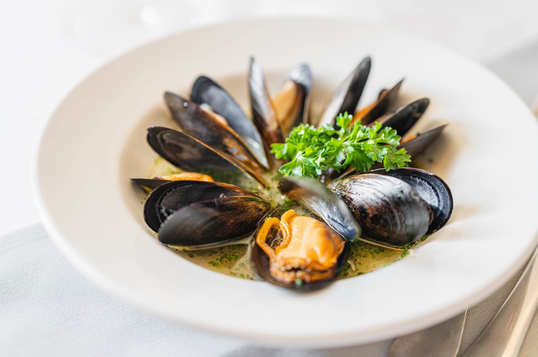 Piola Italian Restaurant & Garden - Monticello, Fort Worth, TX