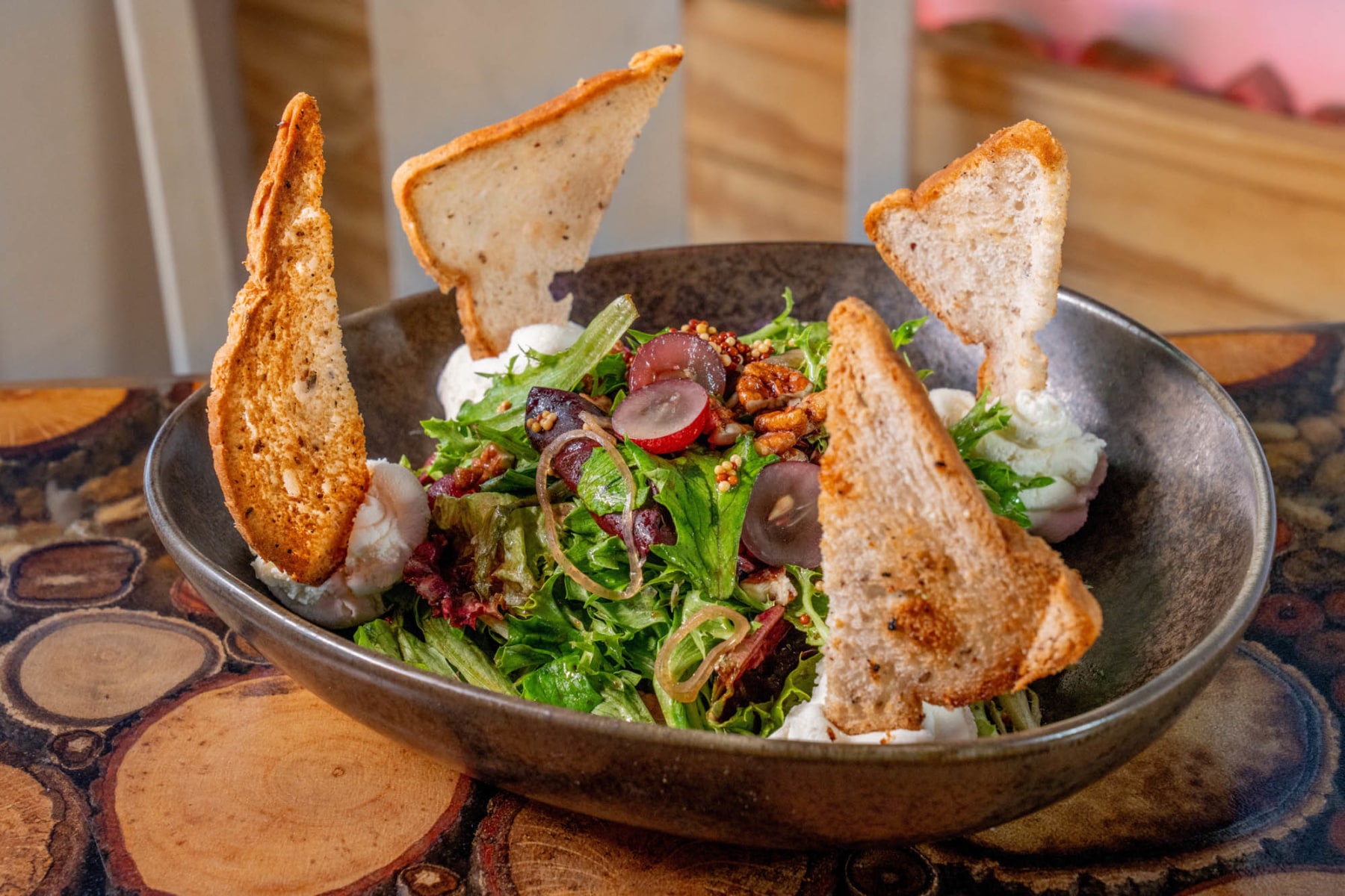 GREEN ZEBRA CAFE – Best Breakfast & Brunch in Sarasota
