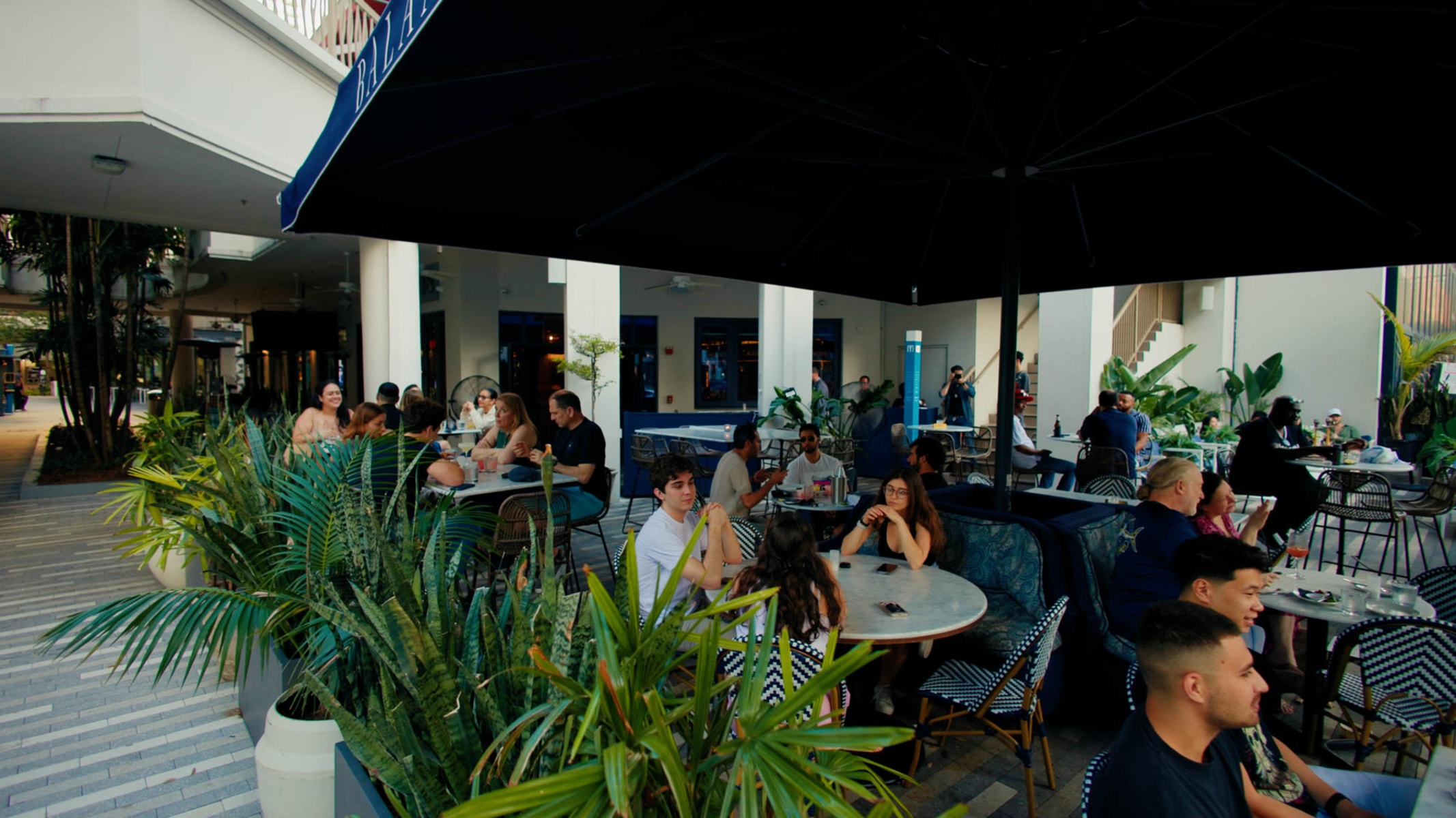 Contemporary American Brasserie & Bar in Brickell Miami FL | Balan's