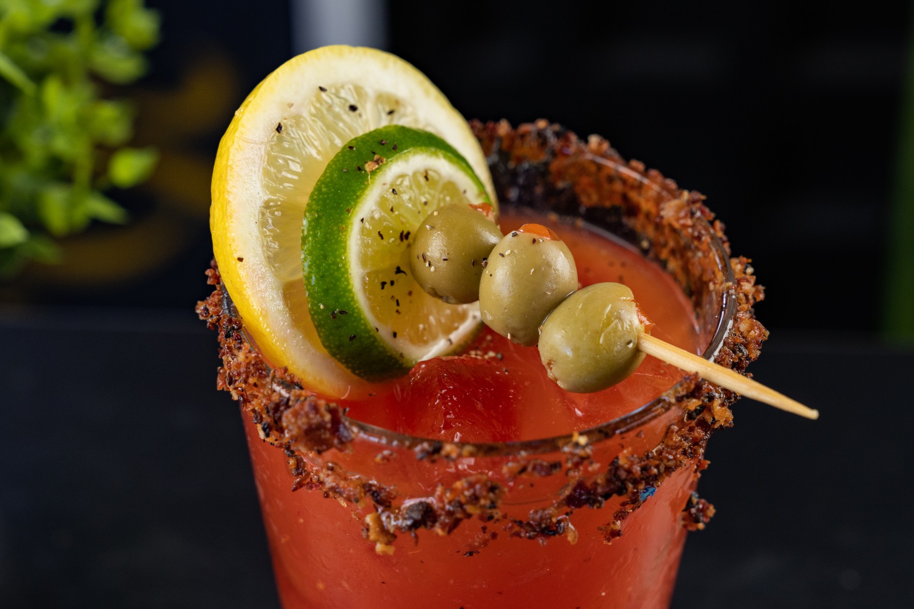 Must-Try Cafe in Scottsdale, AZ | Sip Coffee & Beer