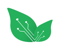 SpringTech - About Us