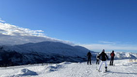 Malvik kommune
