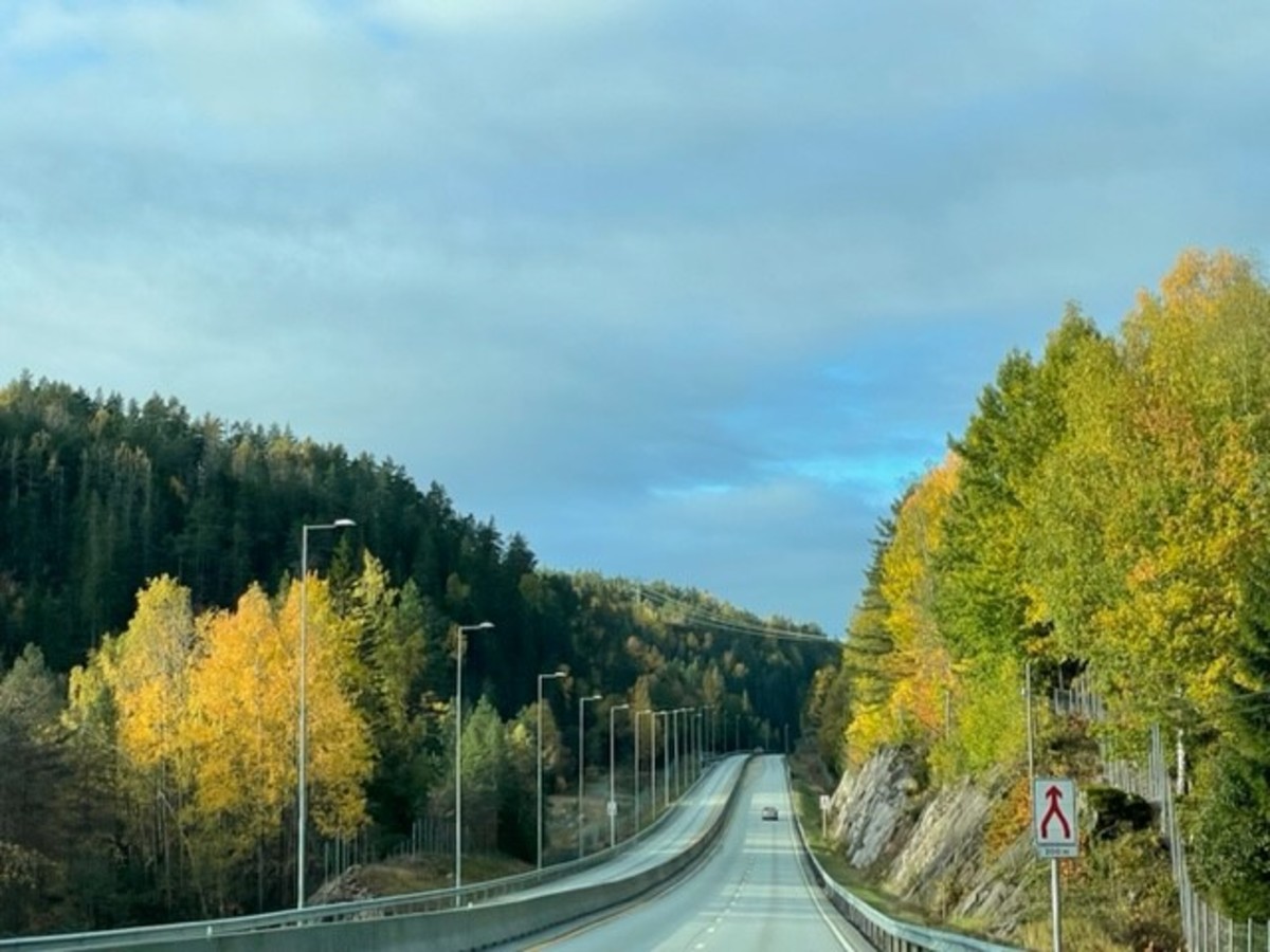 Bamble kommune - E18 - Styremøte i IKP