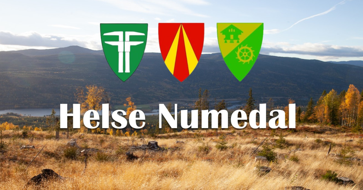 Informasjons om nytt kommunalt samarbeid - Helse Numedal - Rollag kommune