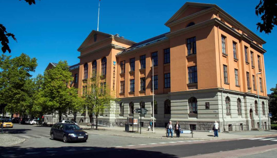 Nyheter - Trondheim kommune