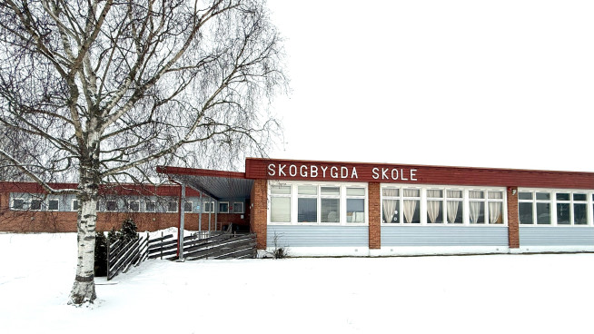 Skogbygda skole - nes kommune