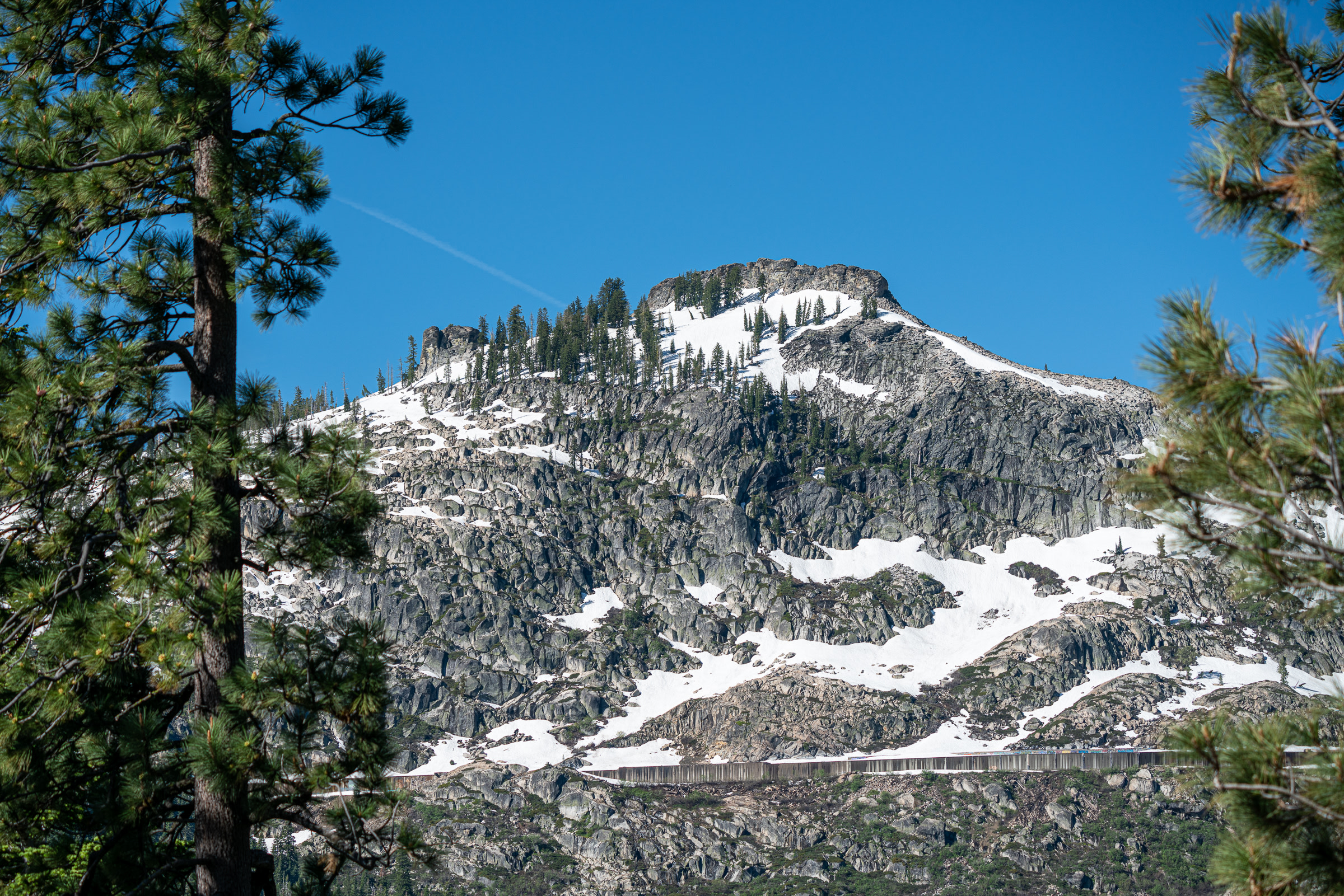 Road Trip! – SSS BLOG