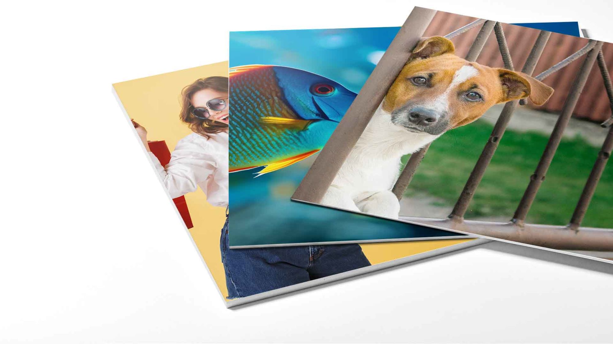 Stampa Foto Su Forex - Stampaestampe.it