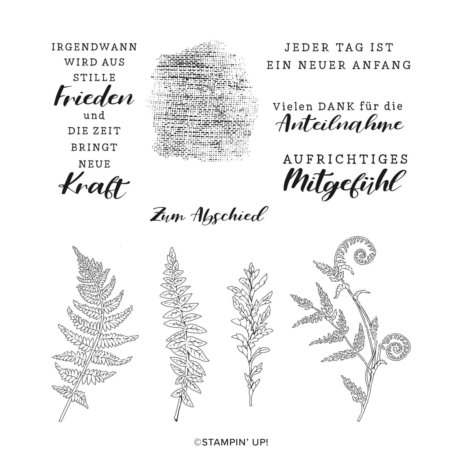 Stempelset Filigrane Farne von Stampin’ Up!