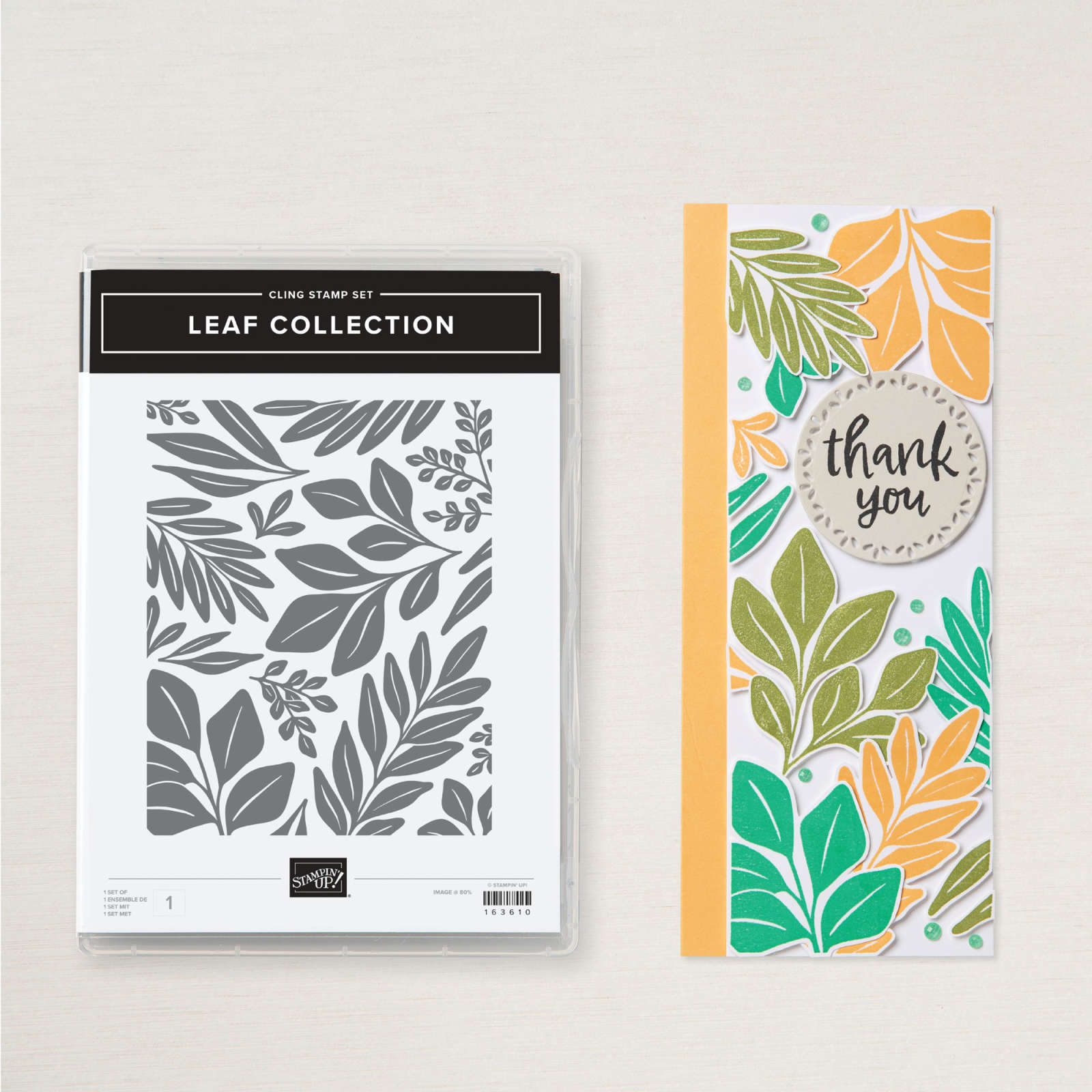 Leaf Collection Background Stamp by Stampin’ Up!