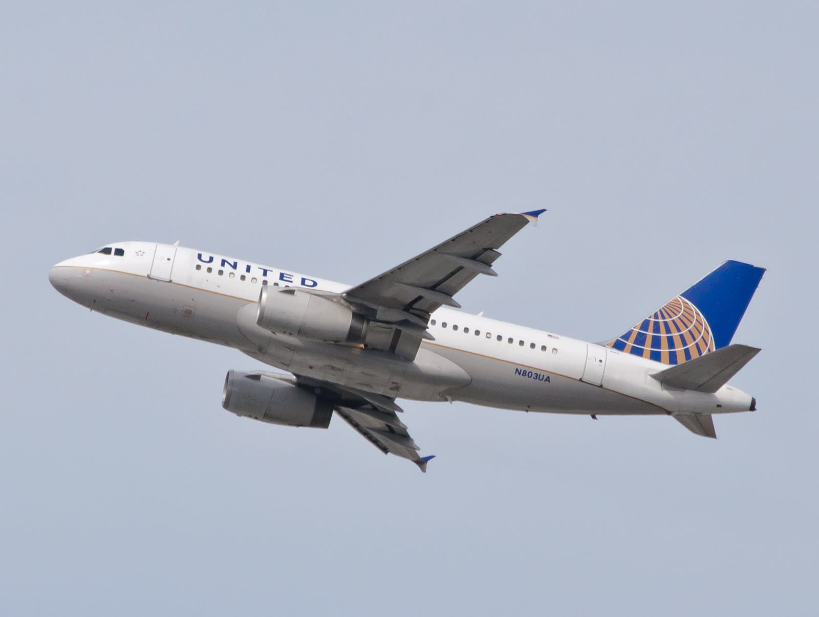 United Airbus A319-131 - Star Alliance Virtual