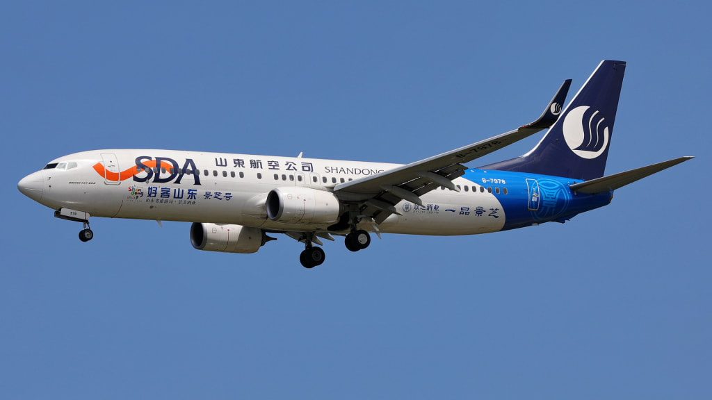 Boeing 737-800 - Star Alliance Virtual