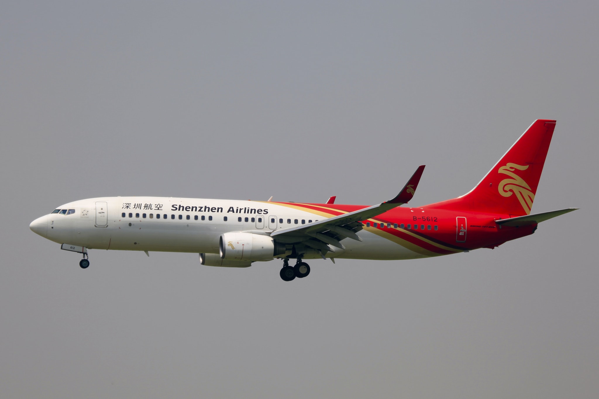 Shenzhen Airlines Boeing 737-86J(WL) - Star Alliance Virtual