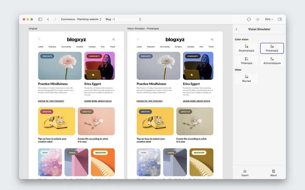 Using the Vision Simulator + Generator