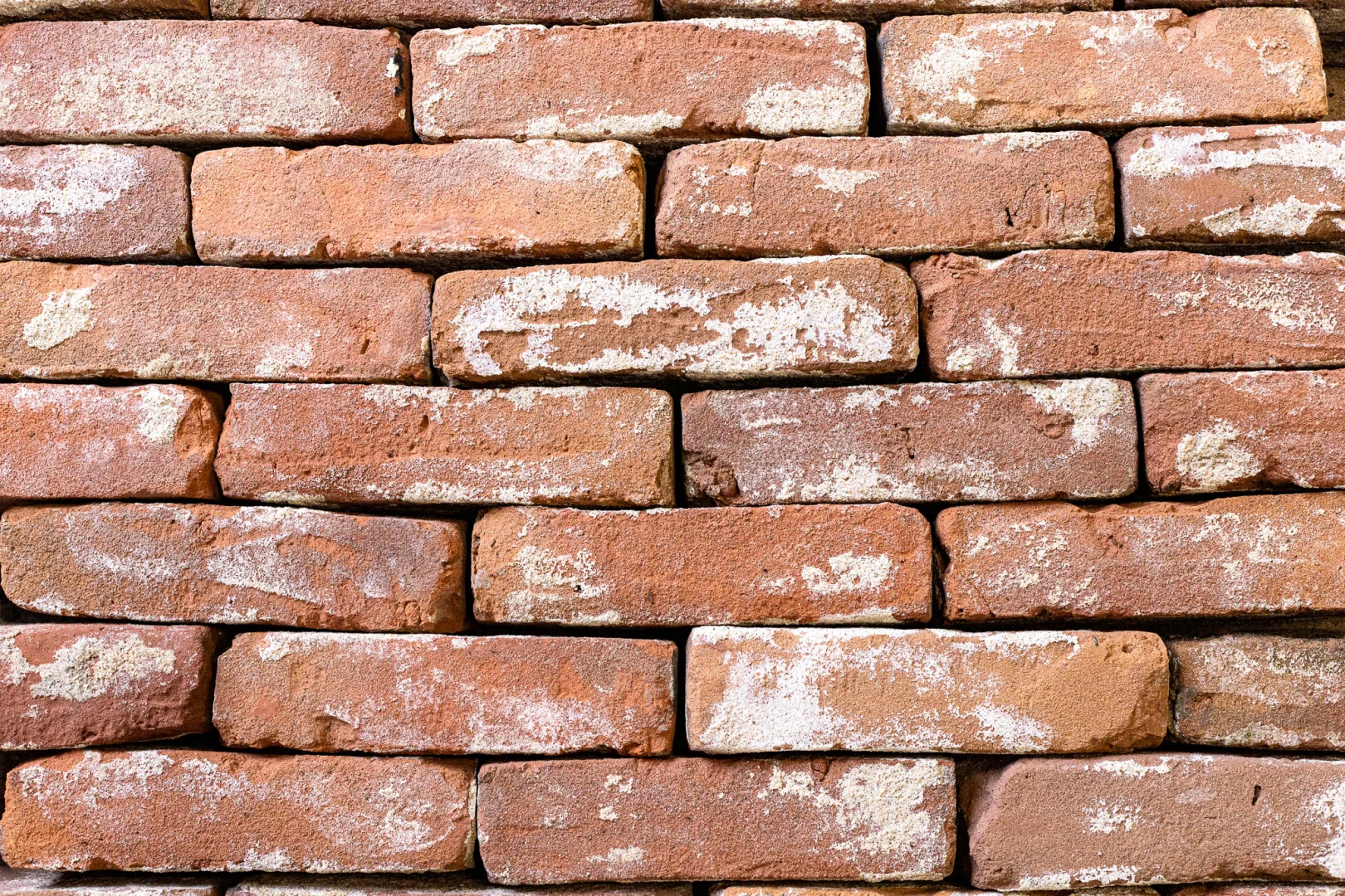 Oude rode bruine vormbak stenen gebikt waalformaat